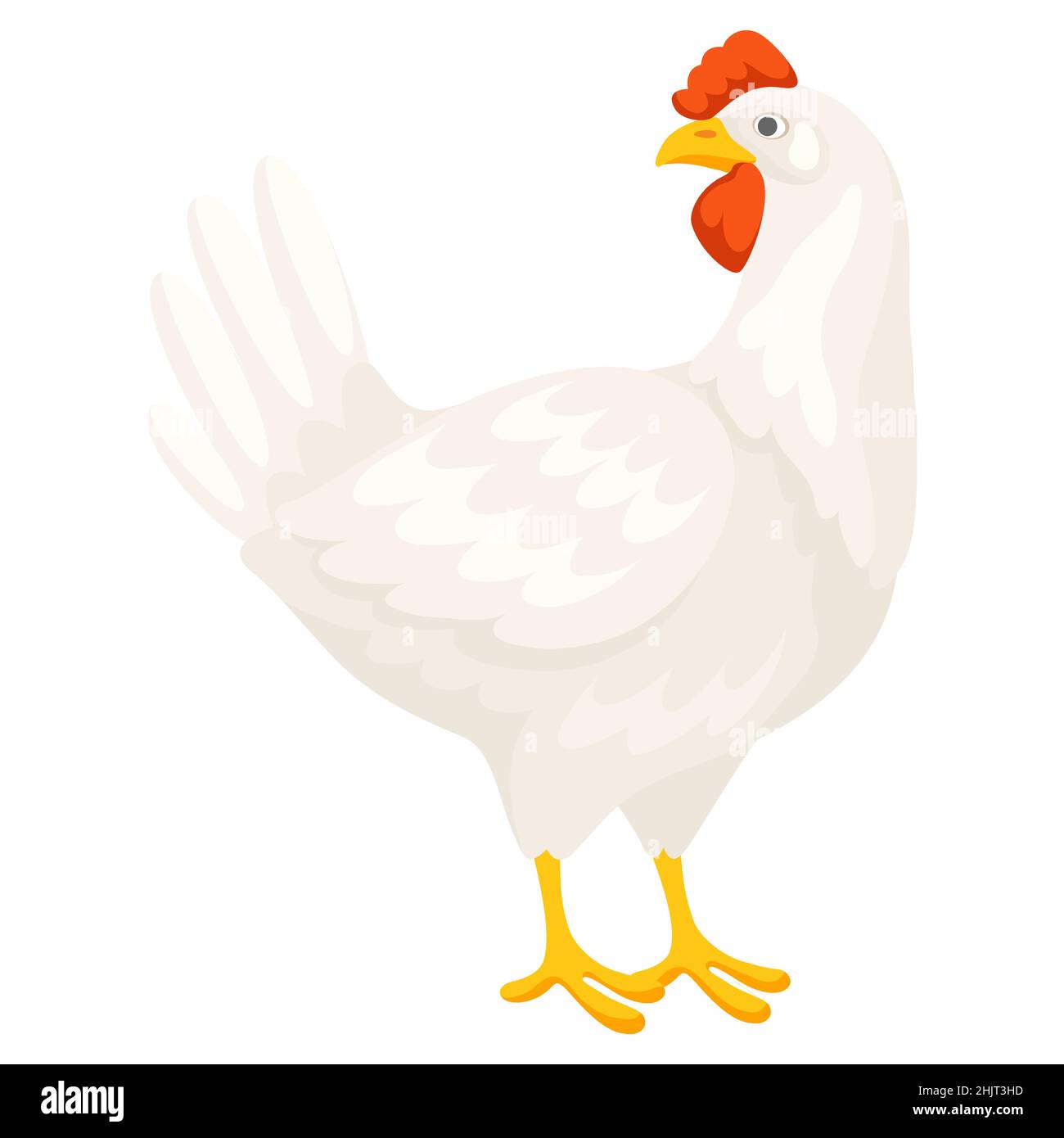 Illustration of white chicken. Images for food and agricultural ...
