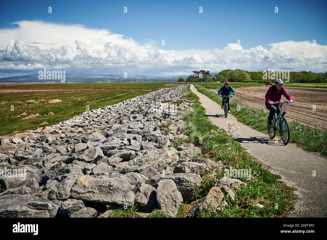 Two seniors cycling along the path on the edge of Morecambe Bay Stock ...