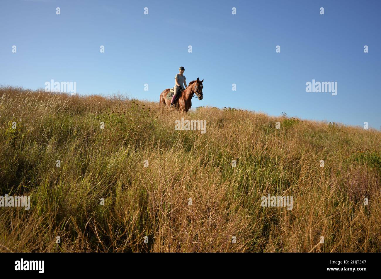 Girl riding a horse on a steep hill Stock Photo - Alamy