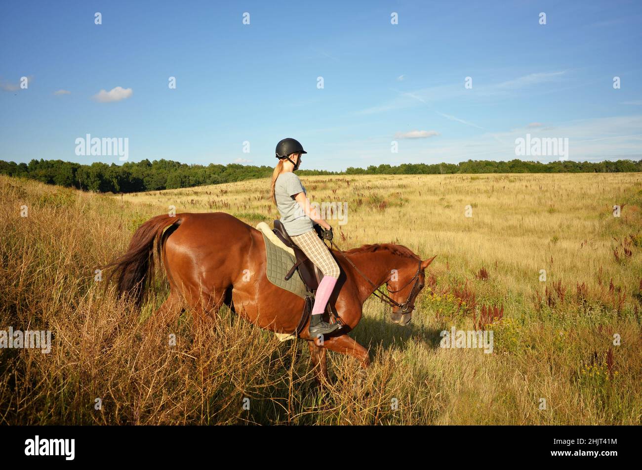 Girl riding a horse on a steep hill Stock Photo - Alamy