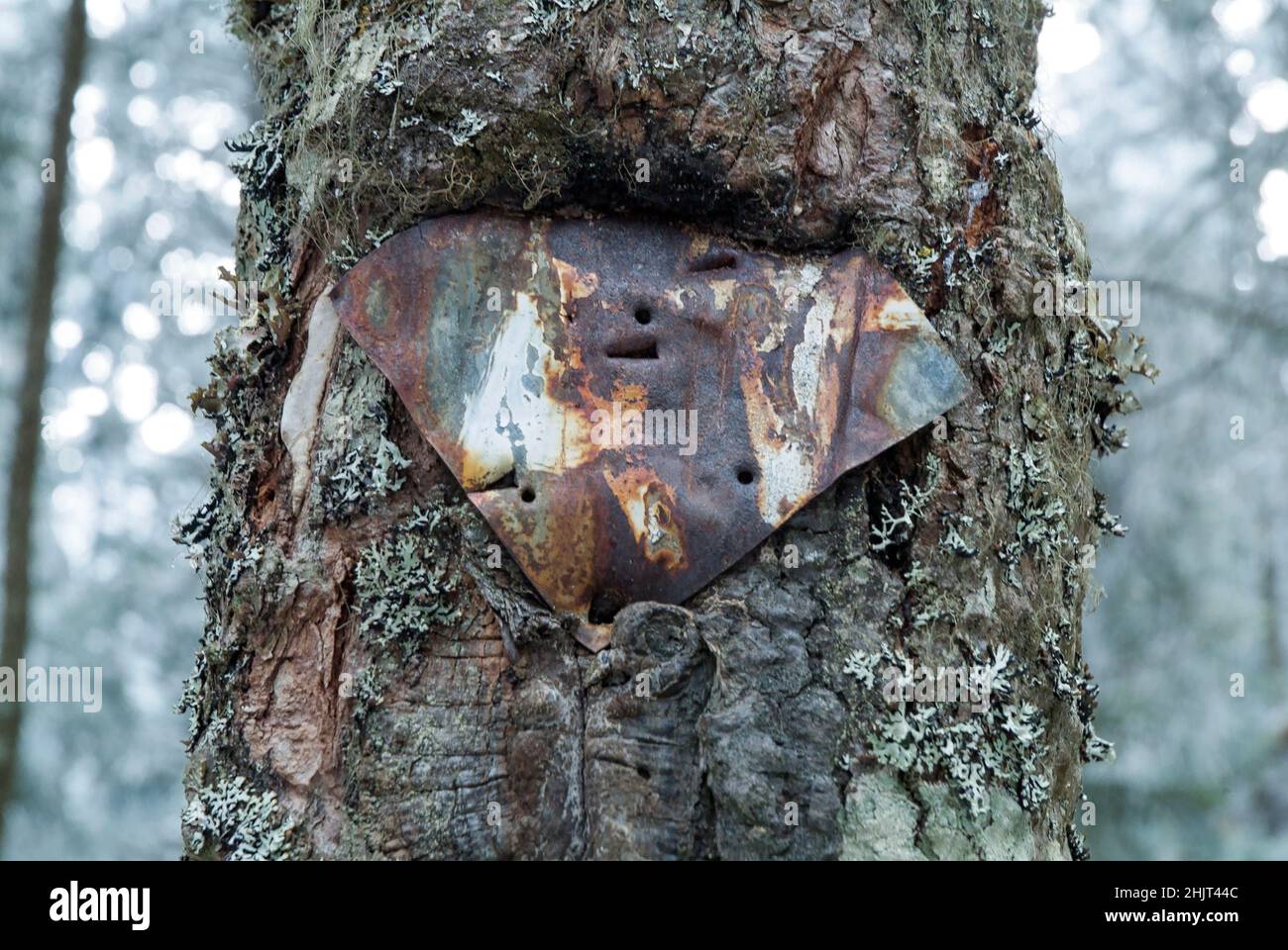 An old Appalachian Trail marker (metal) attached to a tree along the ...