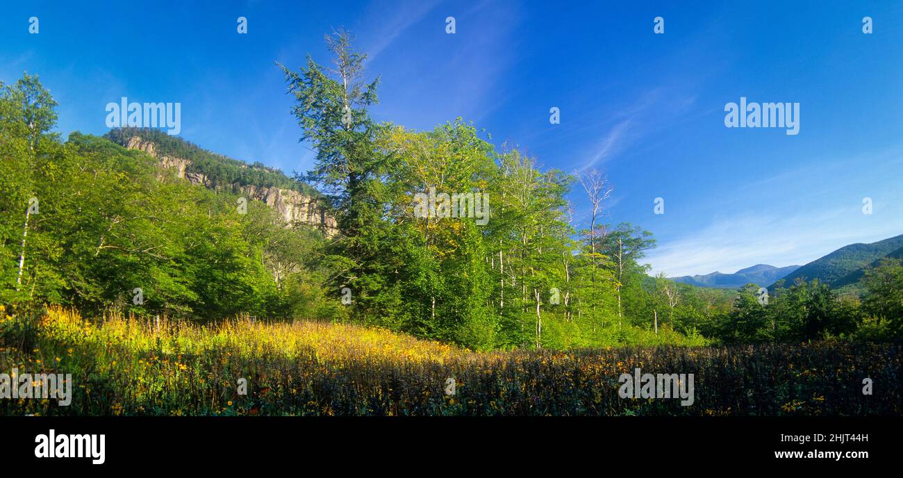 Crawford Notch State Park - Frankenstein Cliff and Mount Washington ...