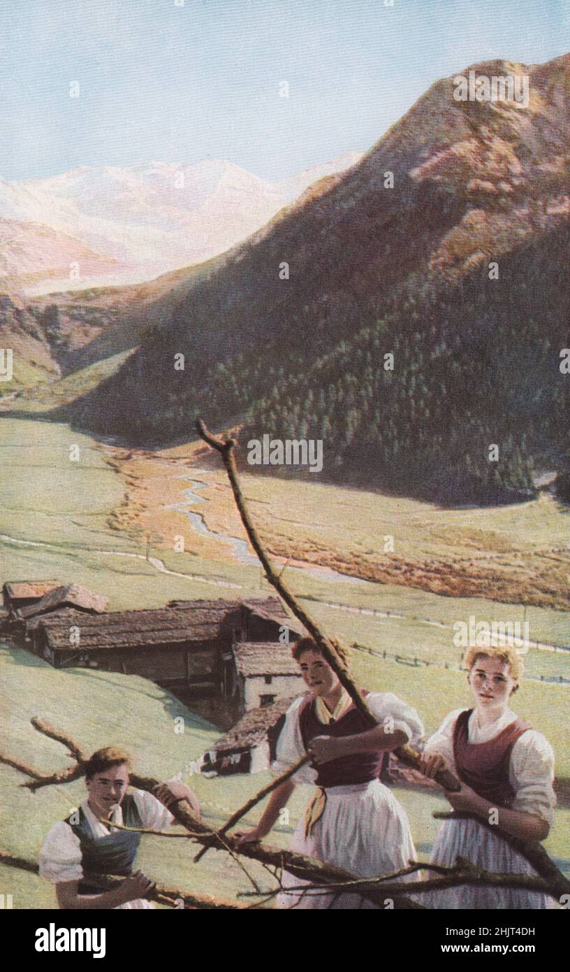 Here are some larch logs being hauled home for firewood from the dark ...