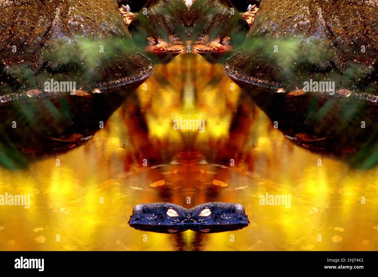 Reflective equilibrium hi-res stock photography and images - Alamy