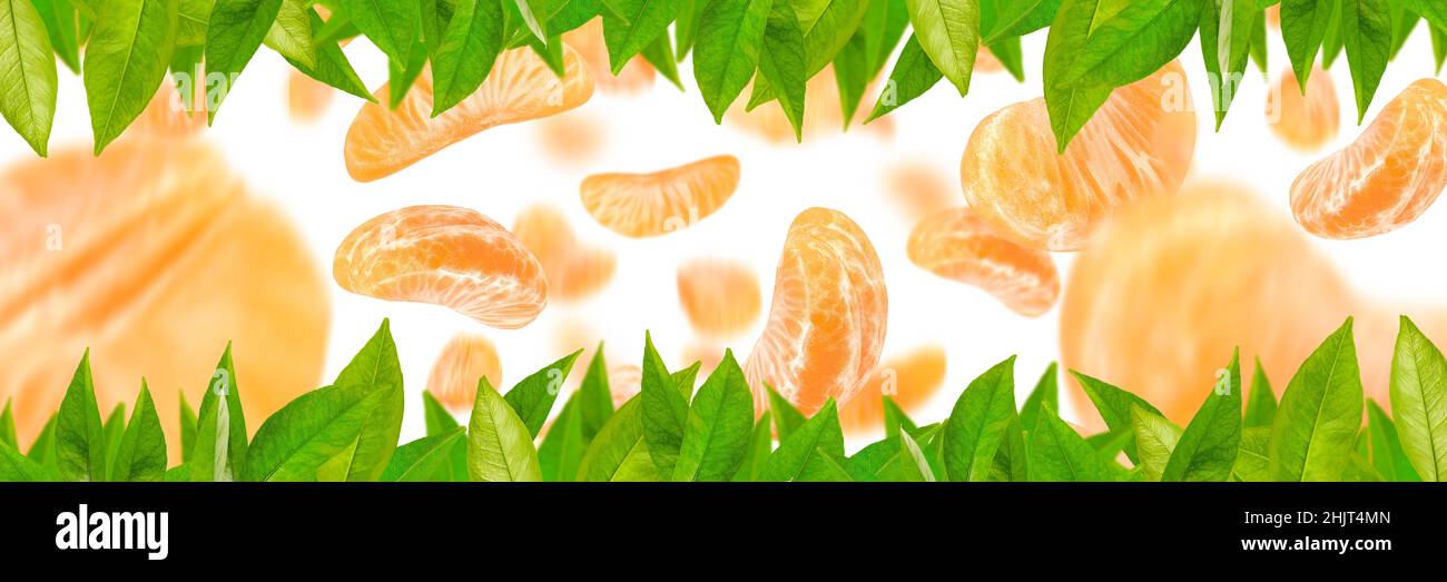 Big set of tangerine parts, different tangerine segments isolated on ...