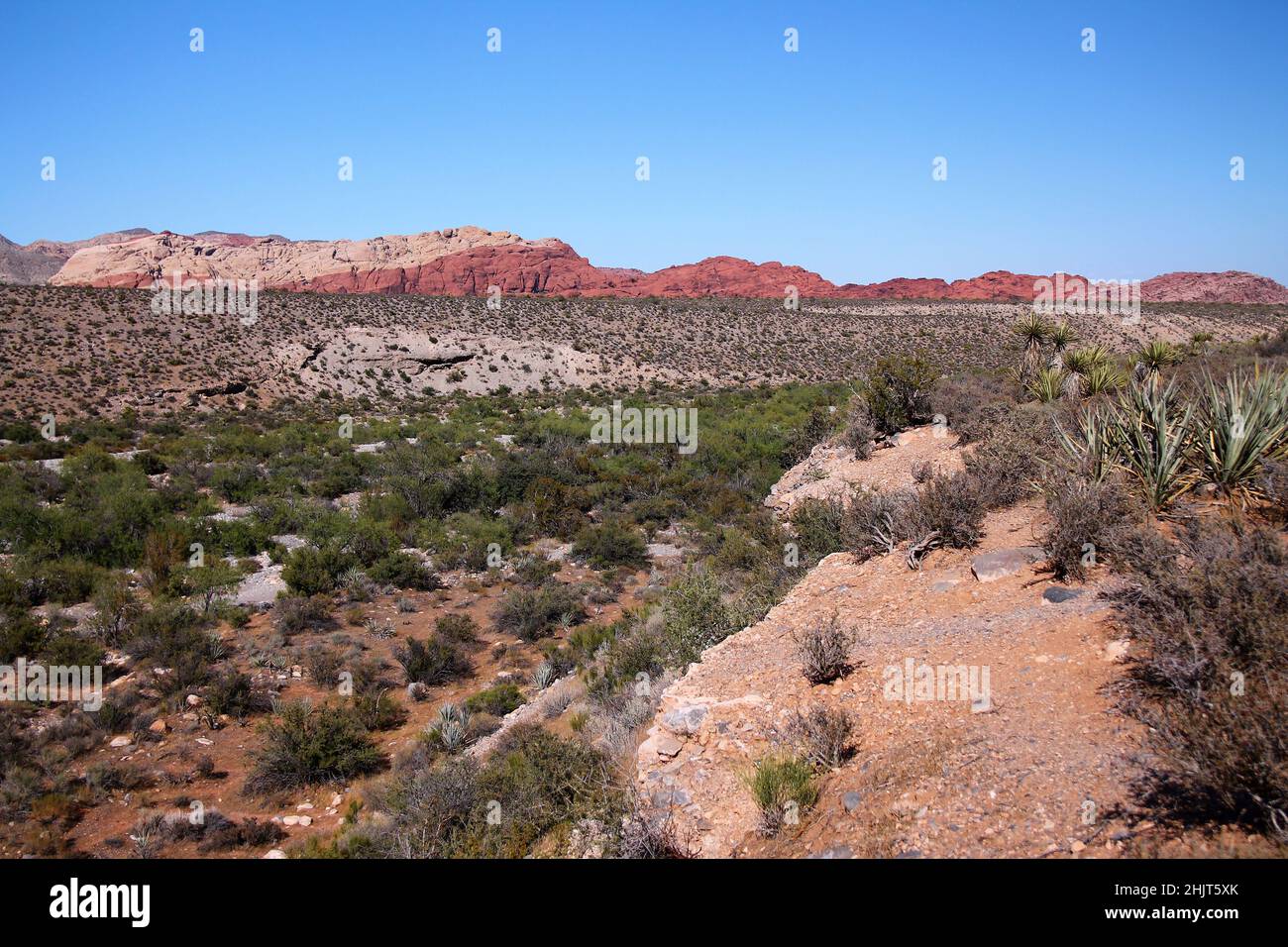 Red Rock Canyon desert in the Las Vegas valley in Nevada under a clear ...