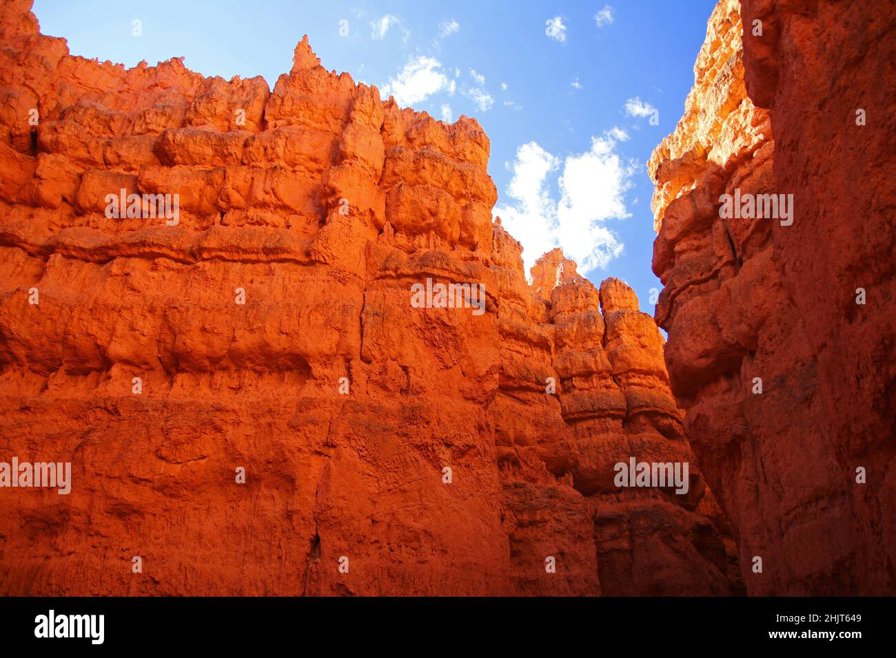 The intense orange color of the rocks from the bottom of Bryce Canyon ...