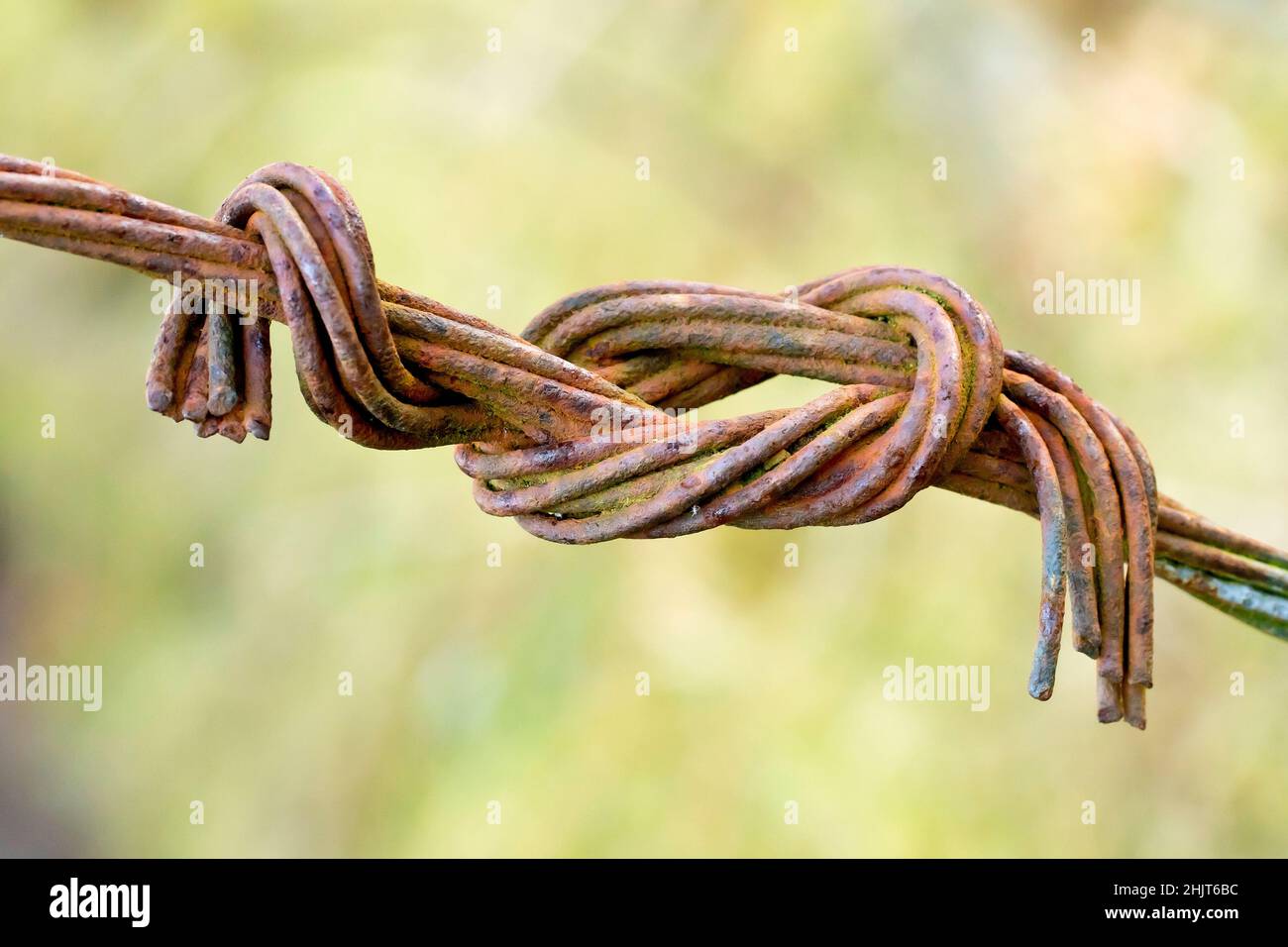 Joined together hi-res stock photography and images - Alamy