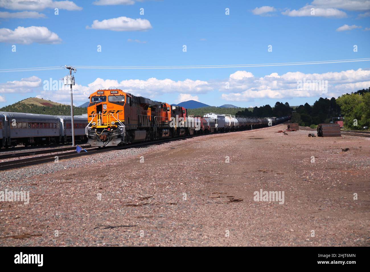 The yellow locomotive of a historical train crossing the Grand Canyon ...