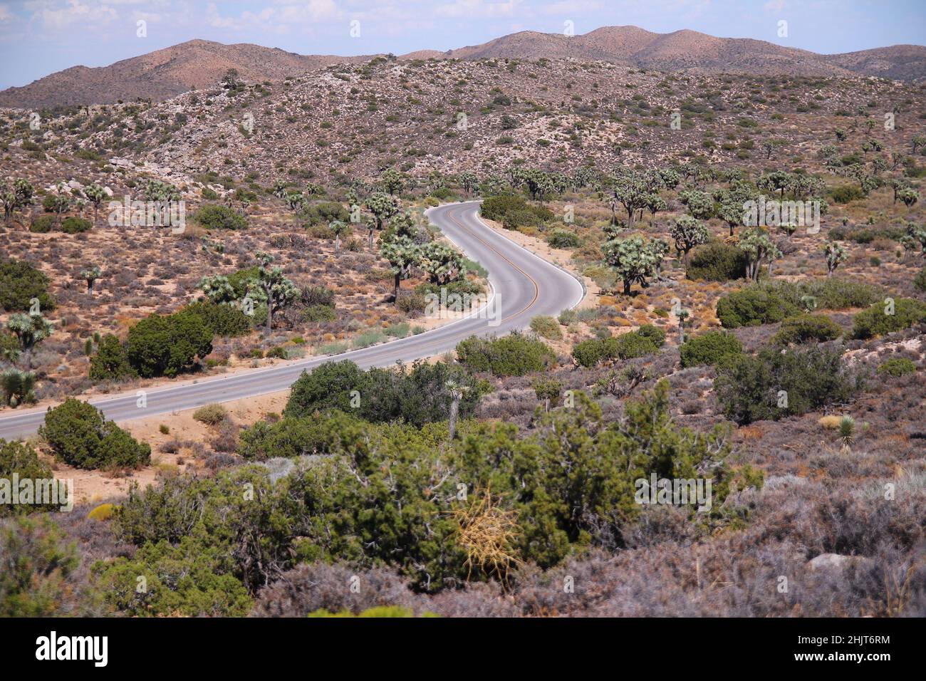 Joshua tree route 66 hi-res stock photography and images - Alamy