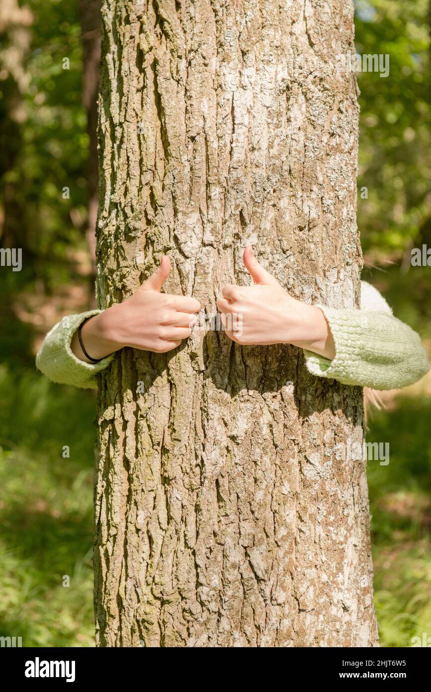 Arms hugging a tree Stock Photo - Alamy