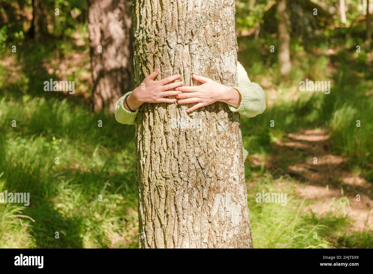 Arms hugging a tree Stock Photo - Alamy