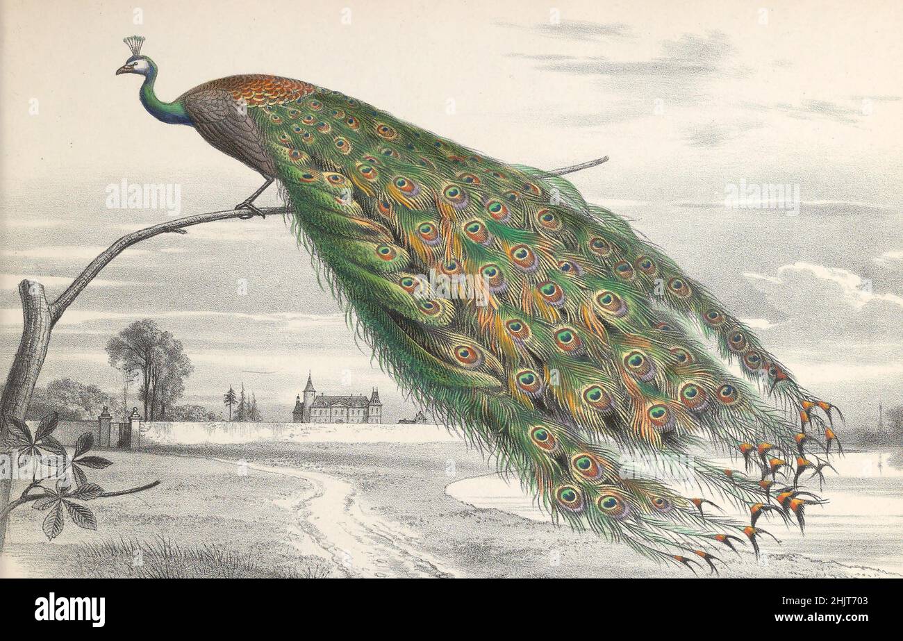 Types de paris hi-res stock photography and images - Alamy