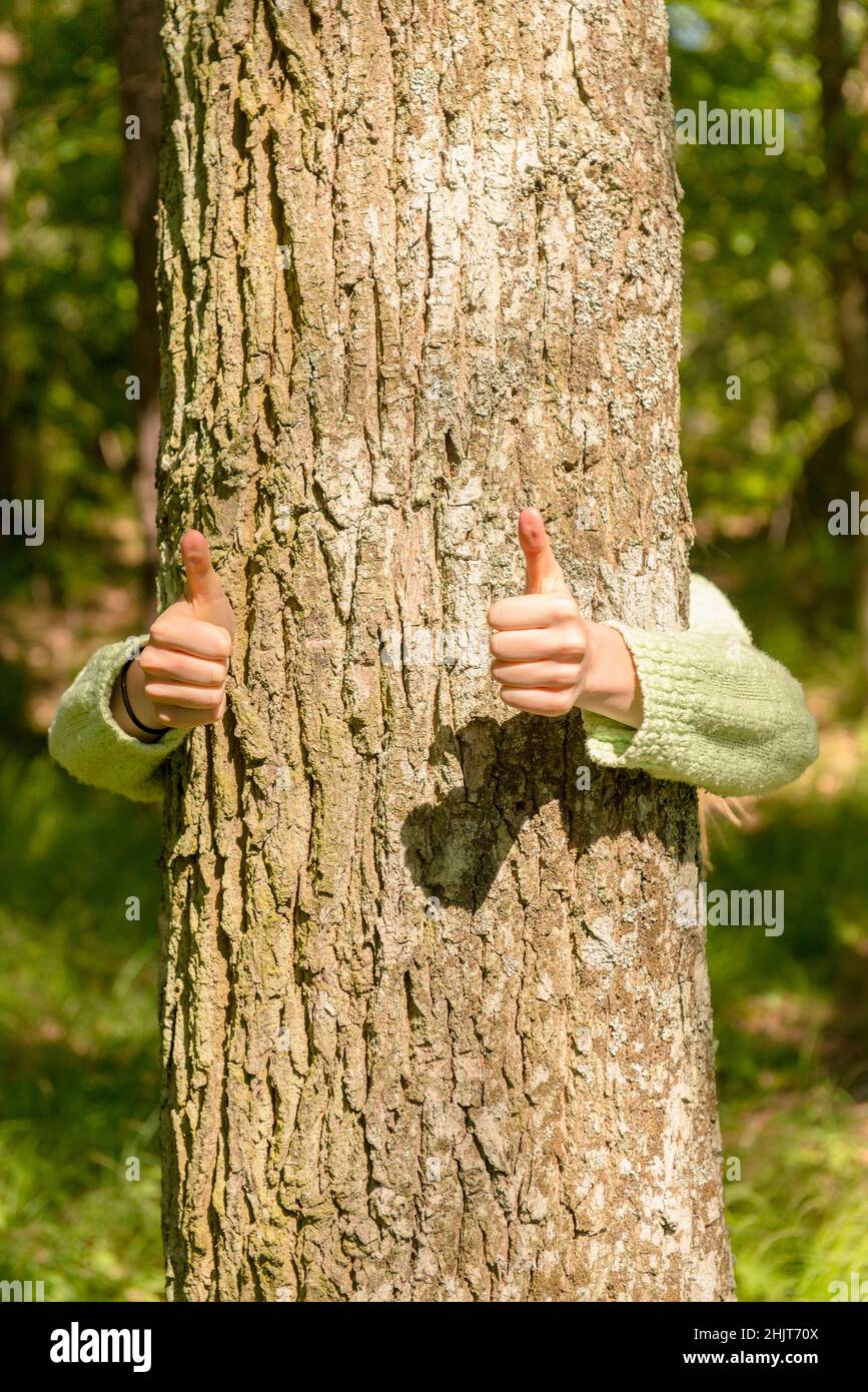 Arms hugging a tree Stock Photo - Alamy