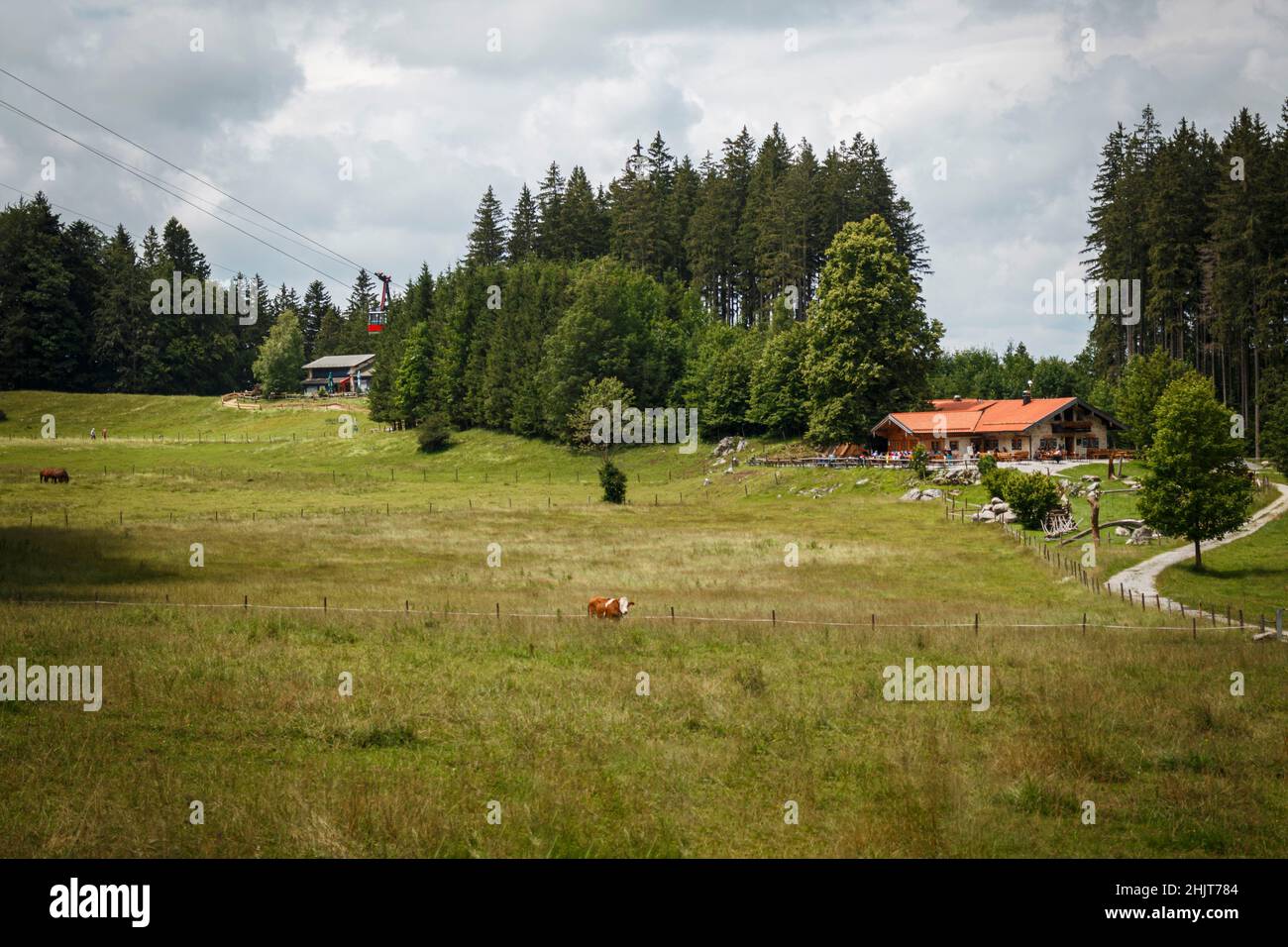 German farm with some cattle Stock Photo - Alamy