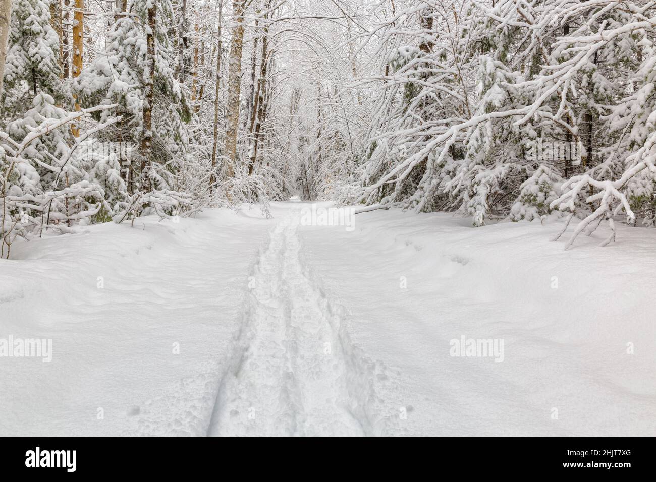 Lincoln Woods Trail in Lincoln New Hampshire after a snow storm during ...