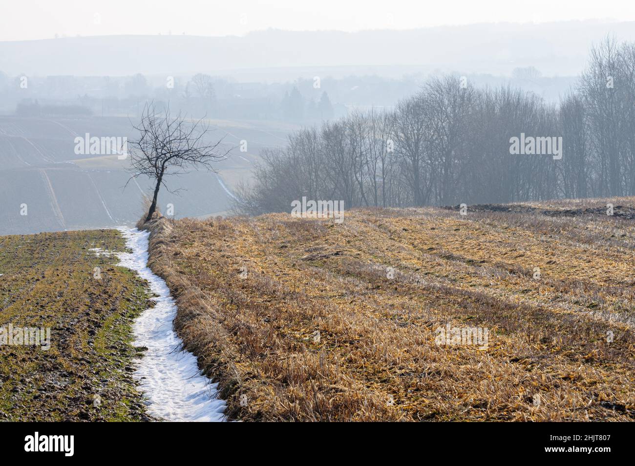 Winter will be over it hi-res stock photography and images - Alamy
