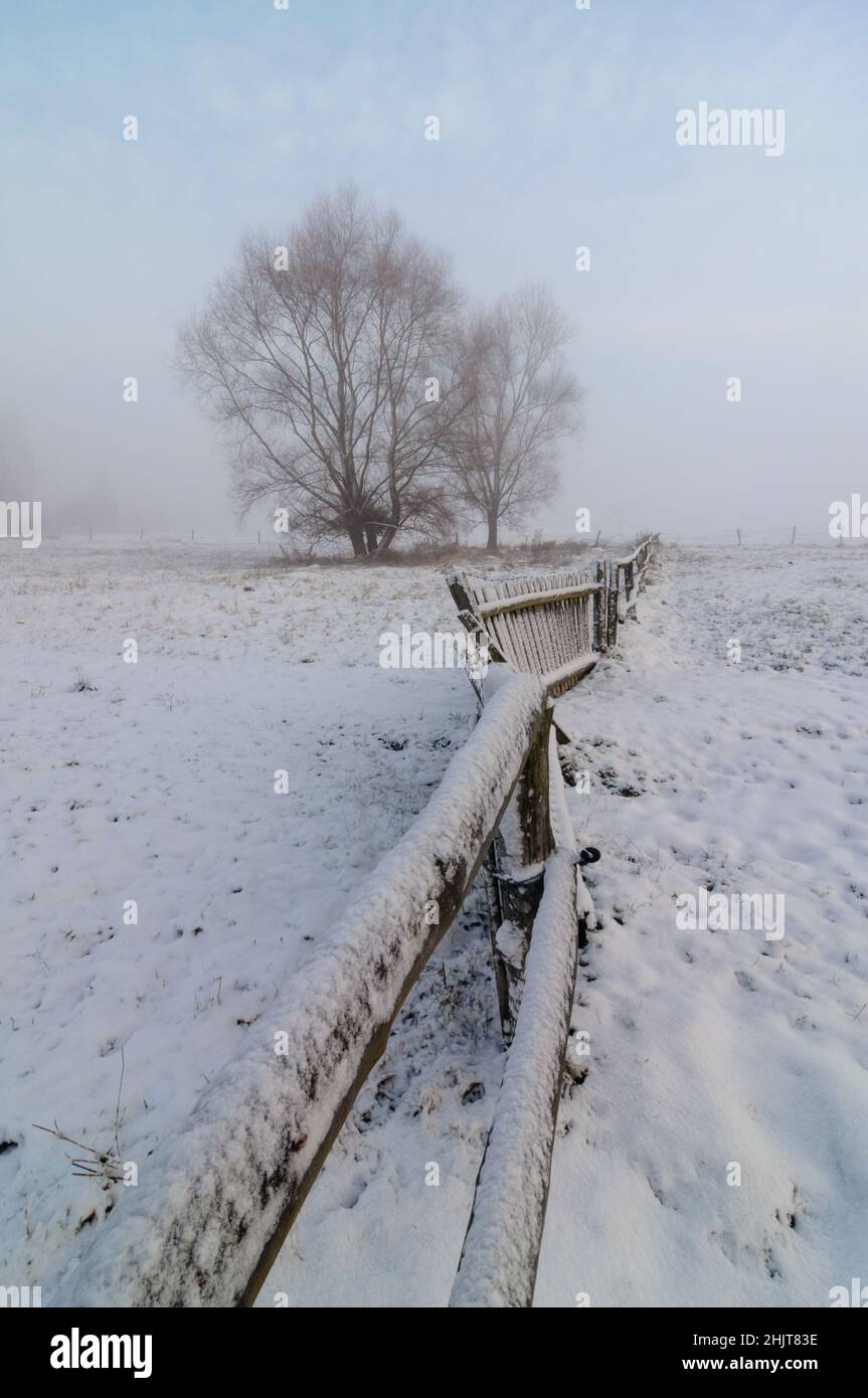 Winter landscape. A decaying wooden fence. The horizon was obscured by ...