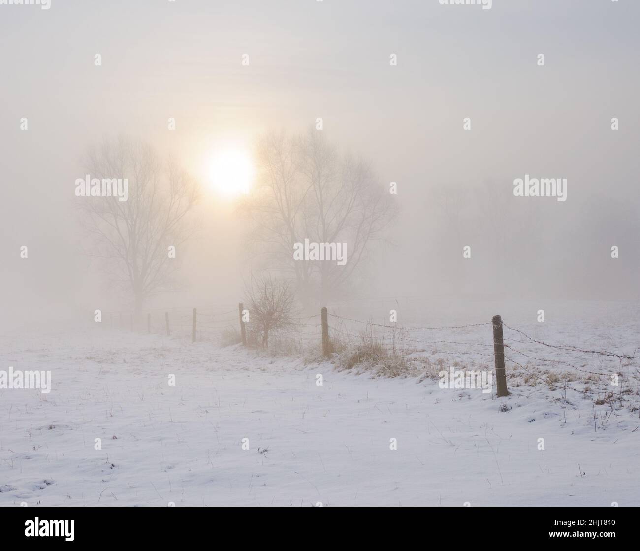 Winter landscape. Crumbling barbed wire fence. Rising sun obscured by ...