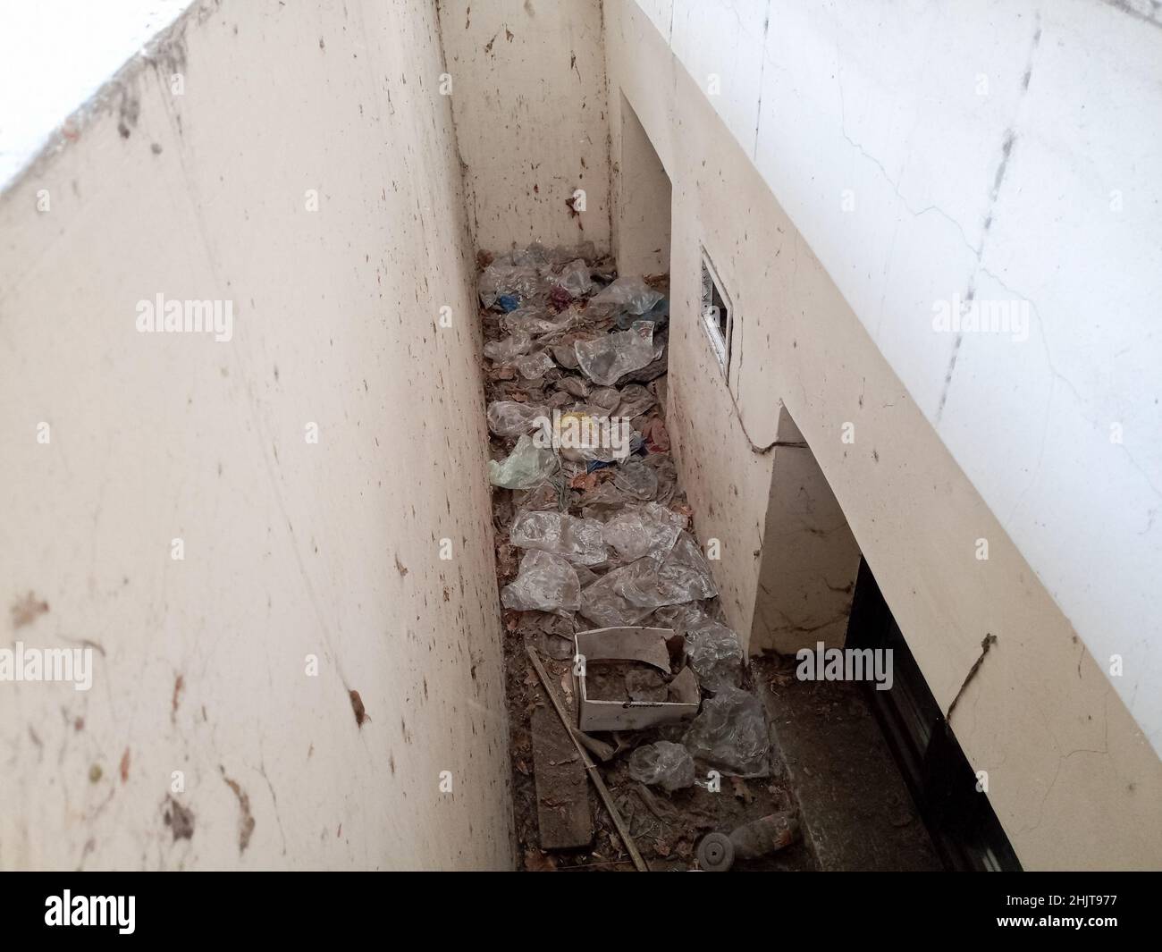 The upper part of the window of the ground floor of the building ...