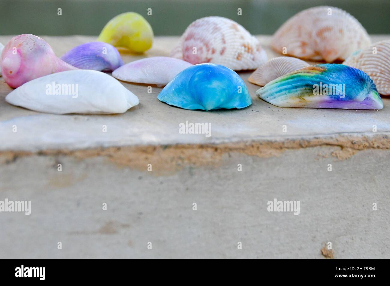Coloured shells hi-res stock photography and images - Alamy