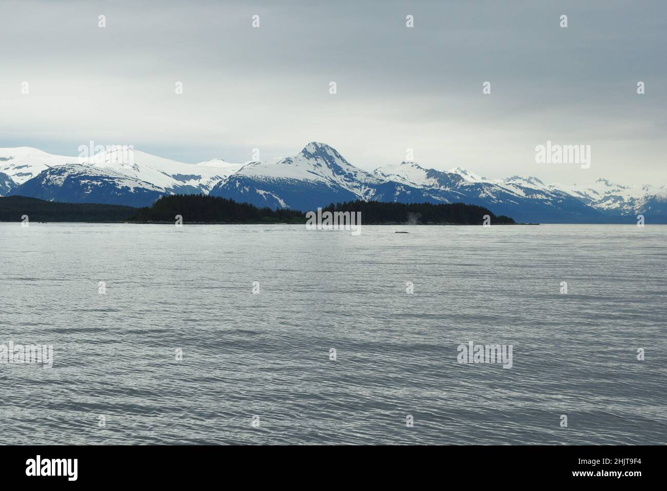 Humpback whale watching in Alaska Stock Photo - Alamy