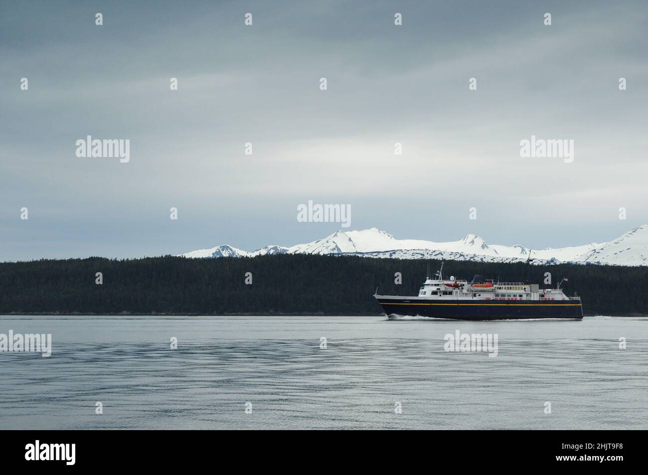 Humpback whale watching in Alaska Stock Photo - Alamy