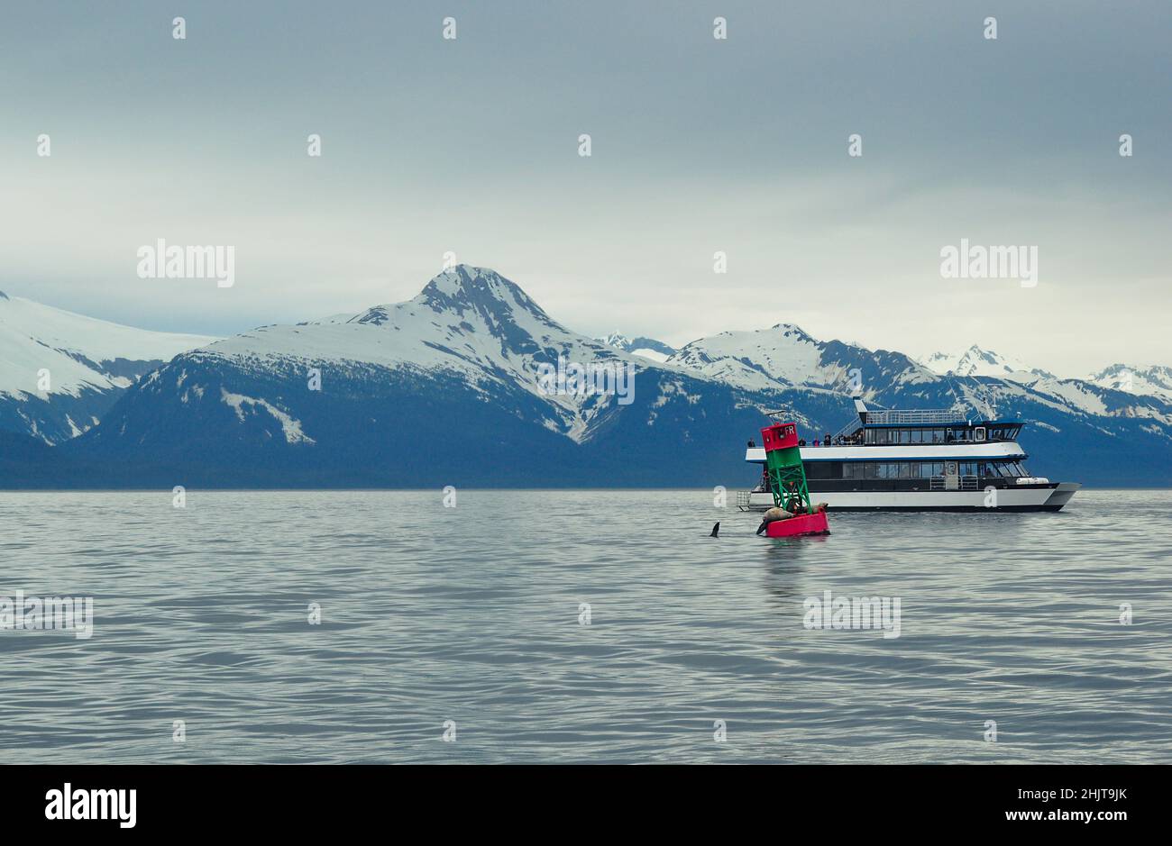 Humpback whale watching in Alaska Stock Photo - Alamy