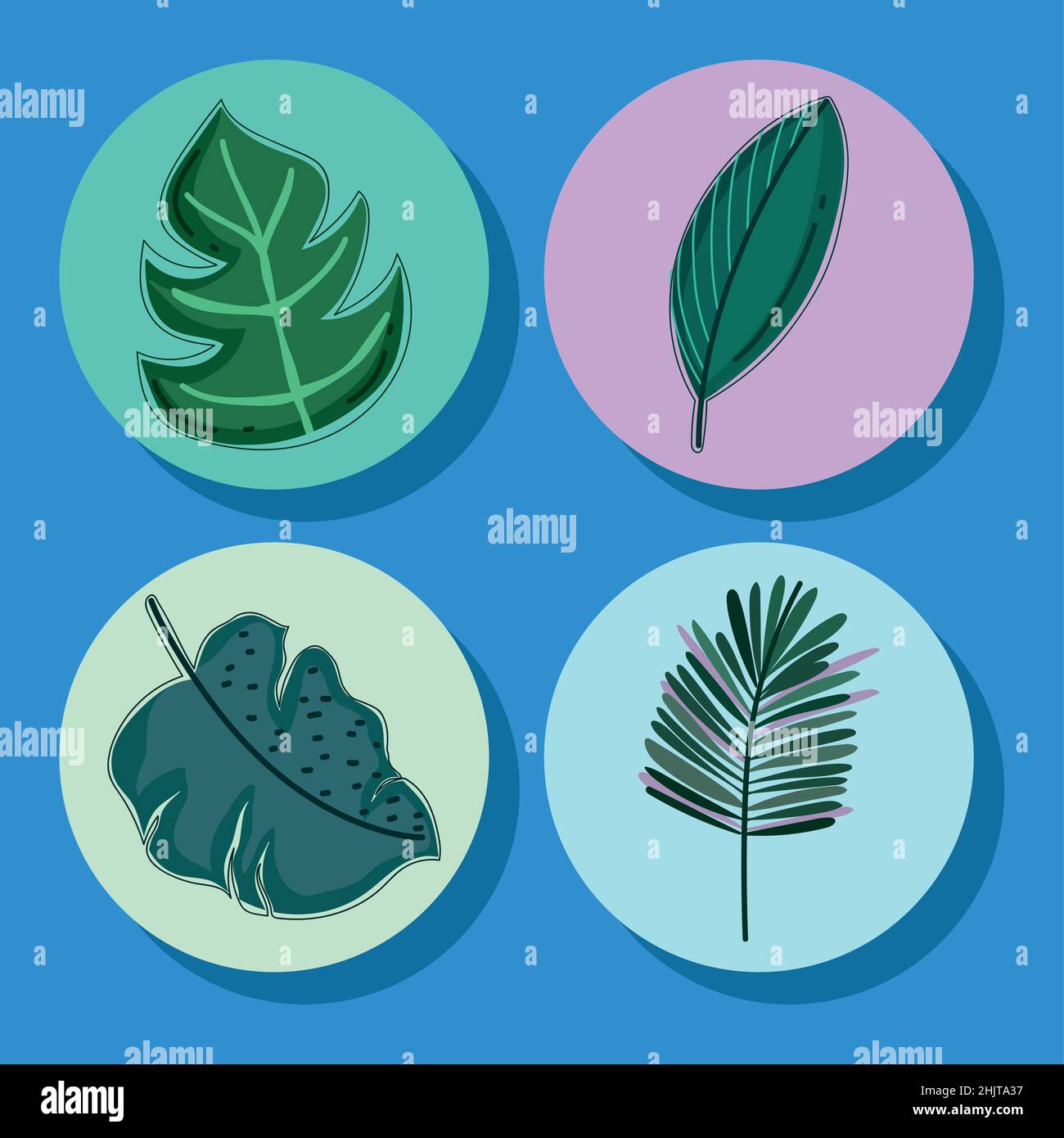 tropical leaves icons Stock Vector Image & Art - Alamy