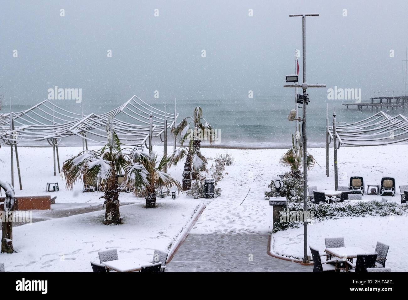 Heavy snowfall on the Mediterranean coast. Antalya, Turkey. Palms ...