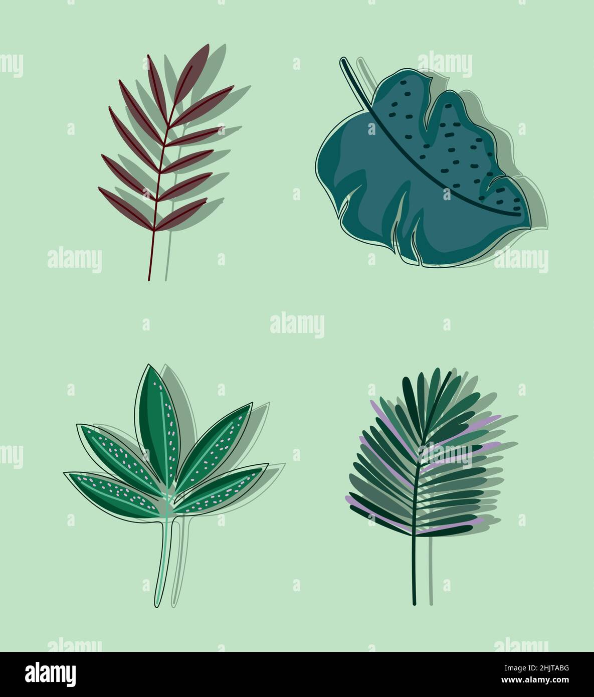 leaves tropical icons Stock Vector Image & Art - Alamy