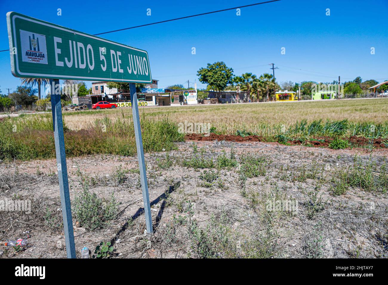 Nomenclature and plot of wheat in the town called Ejido 5 de Junio ...
