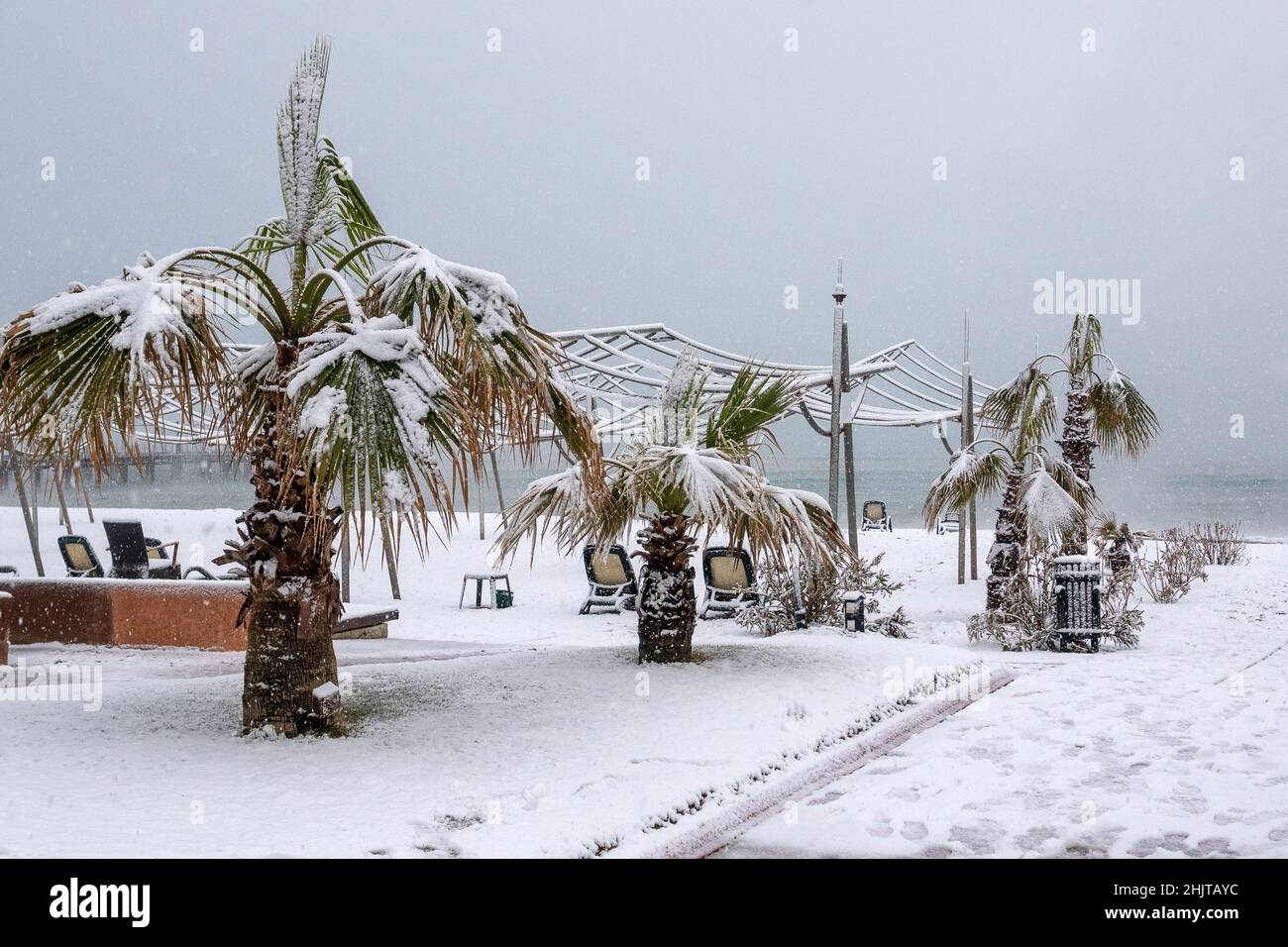 Heavy snowfall on the Mediterranean coast. Antalya, Turkey. Palms ...