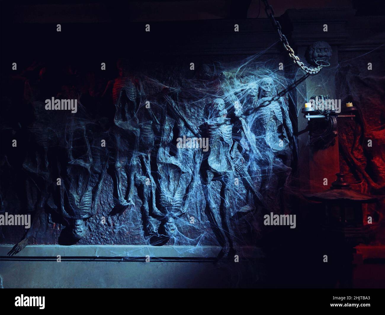 Dark view of a scary wall with skeletons and spider webs Stock Photo ...