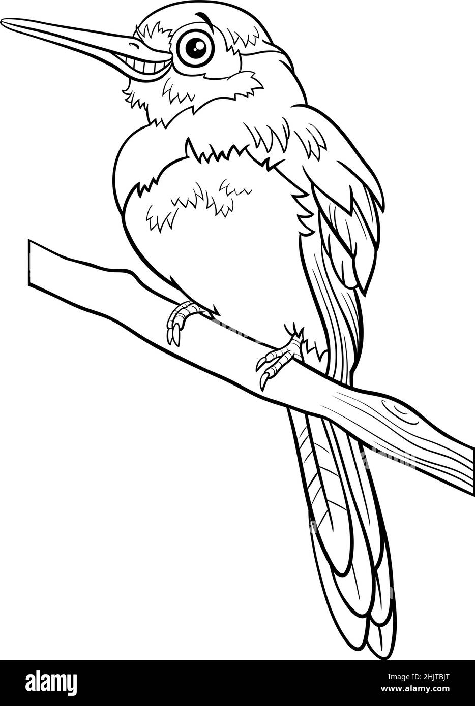 Black and white cartoon illustration of funny jacamar bird animal ...