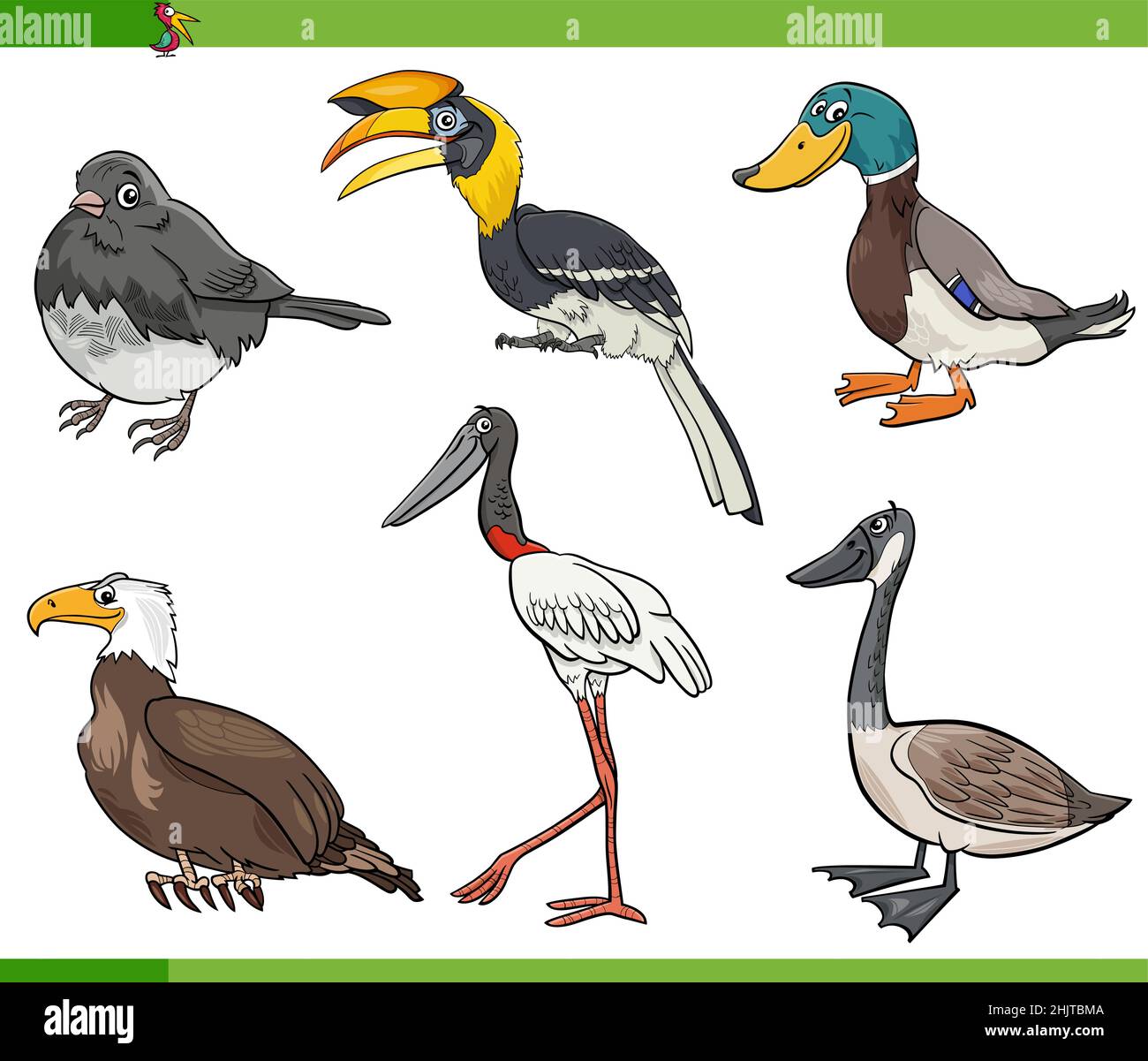 Birds and animals with feathers and wings Stock Vector Images - Alamy