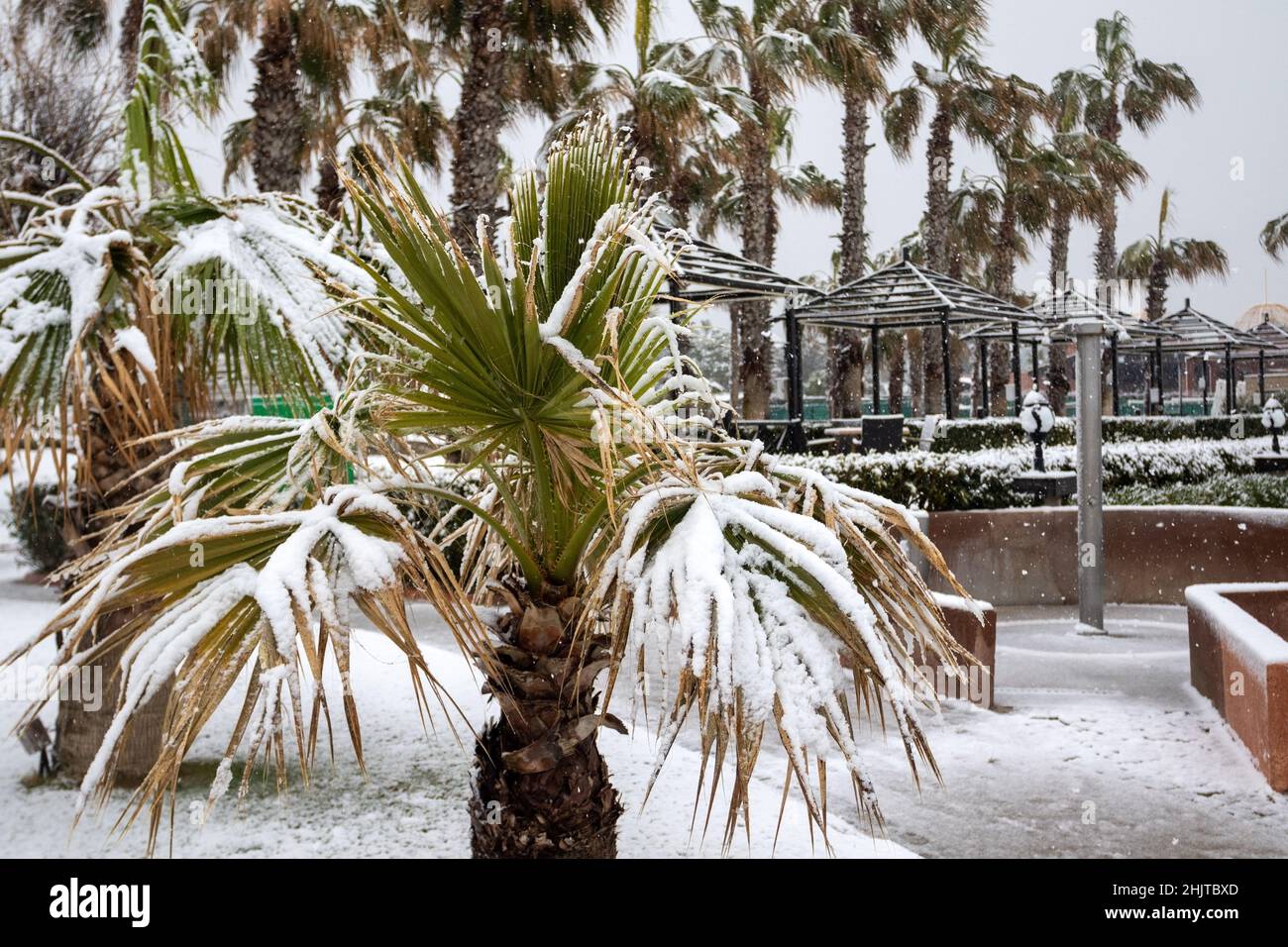 Heavy snowfall on the Mediterranean coast. Snow storm and white covered ...