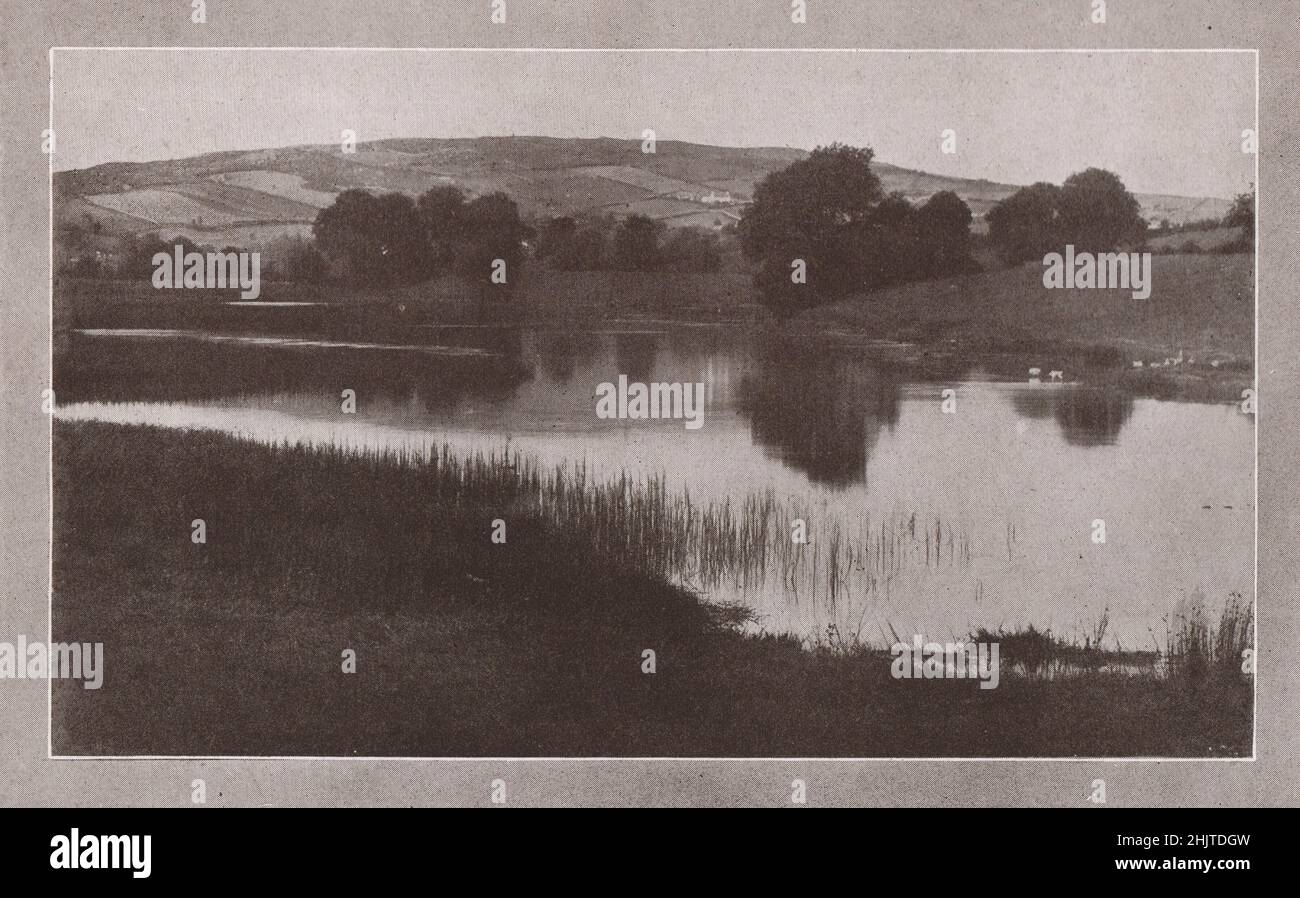 Virginia county cavan hi-res stock photography and images - Alamy