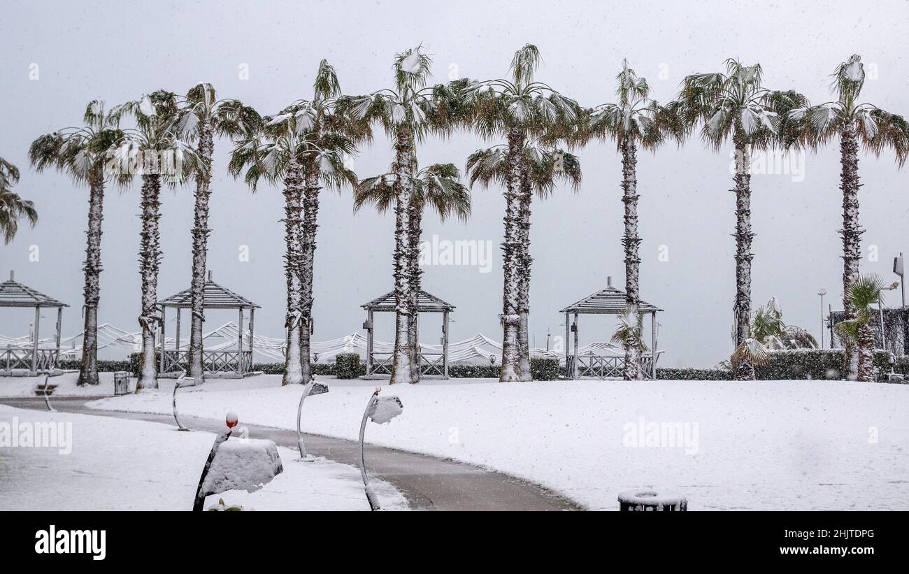 Heavy snowfall on the Mediterranean coast. Antalya, Turkey. Palms ...