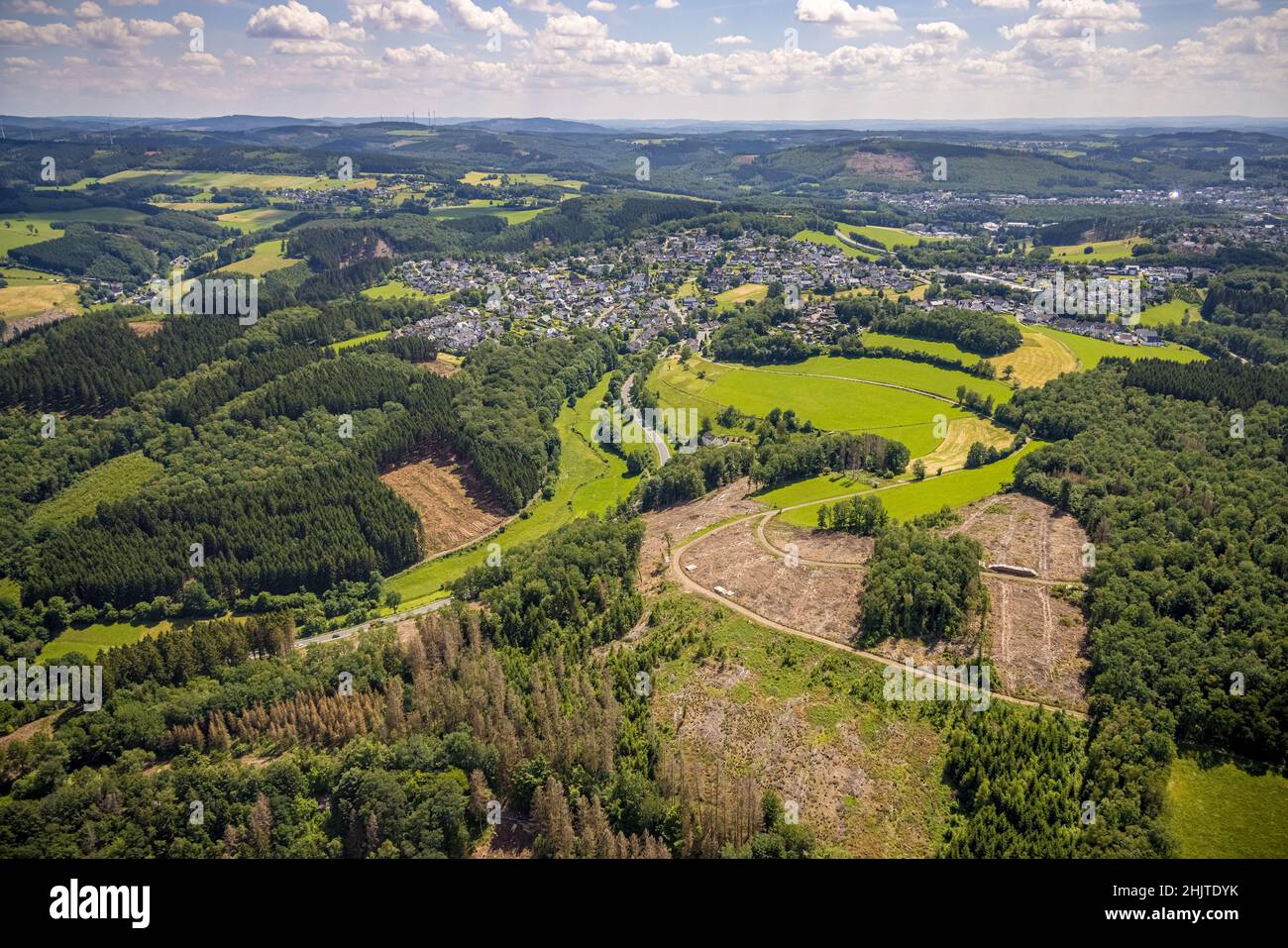 Aerial photograph, forest area with forest damage in Rhode, Olpe ...