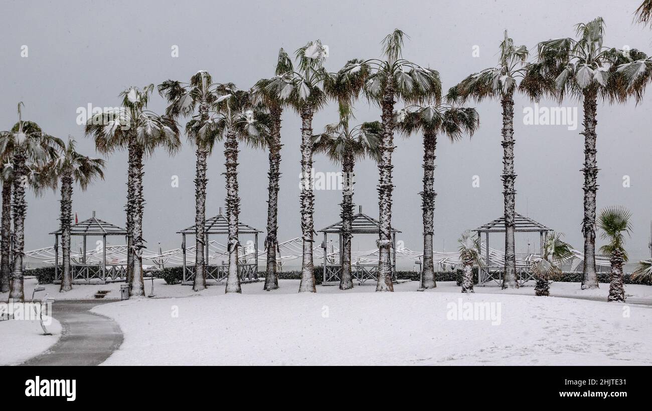 Heavy snowfall on the Mediterranean coast. Antalya, Turkey. Palms ...