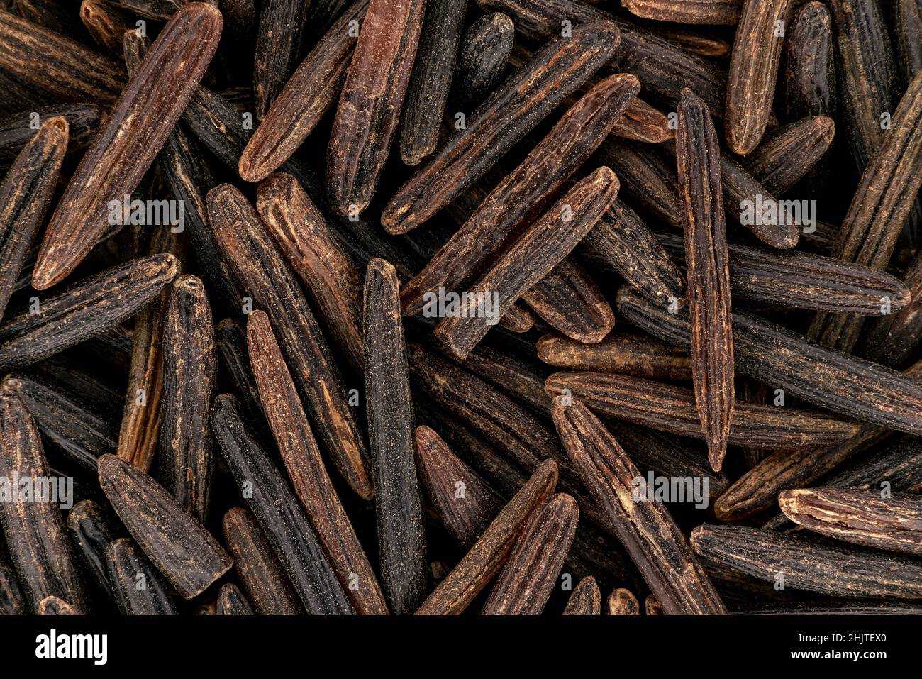 Brown wholegrain rice under microscope, image width 23mm Stock Photo ...
