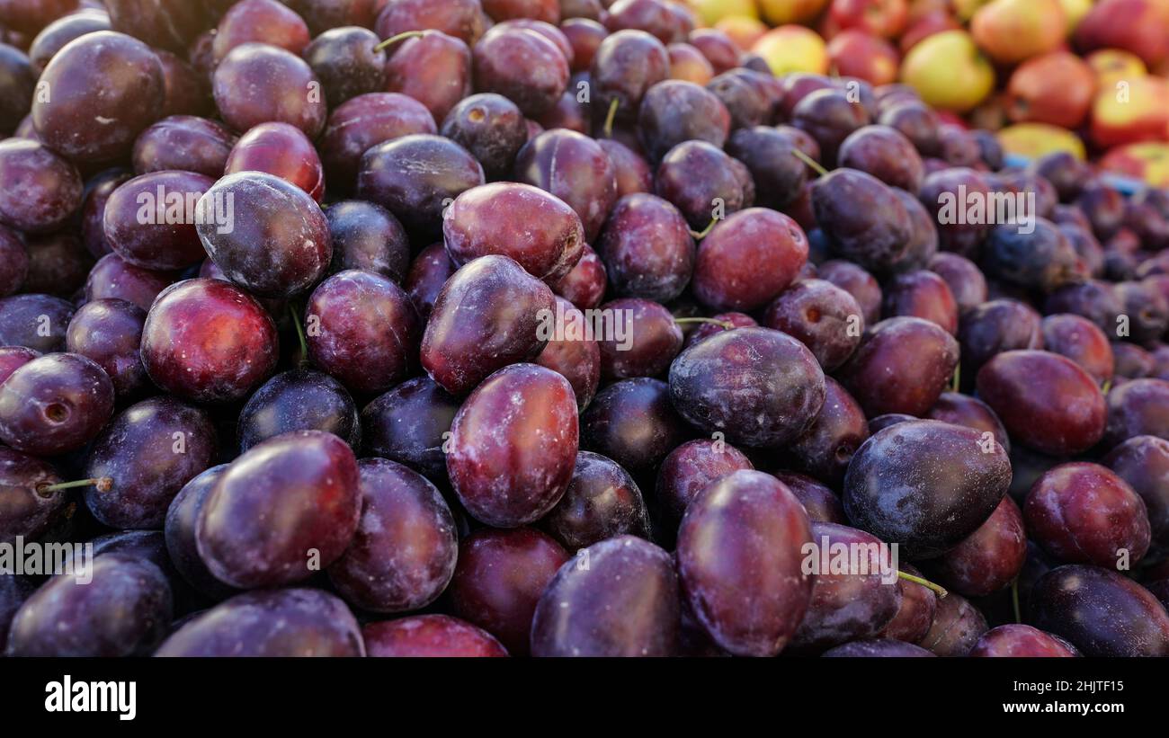 Pile of dark purple plums on display at street fruit market Stock Photo ...