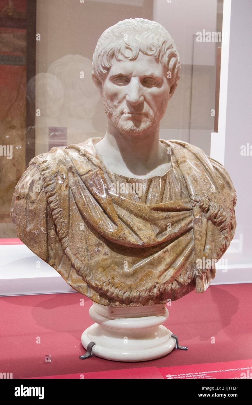 Iuno brutus hi-res stock photography and images - Alamy