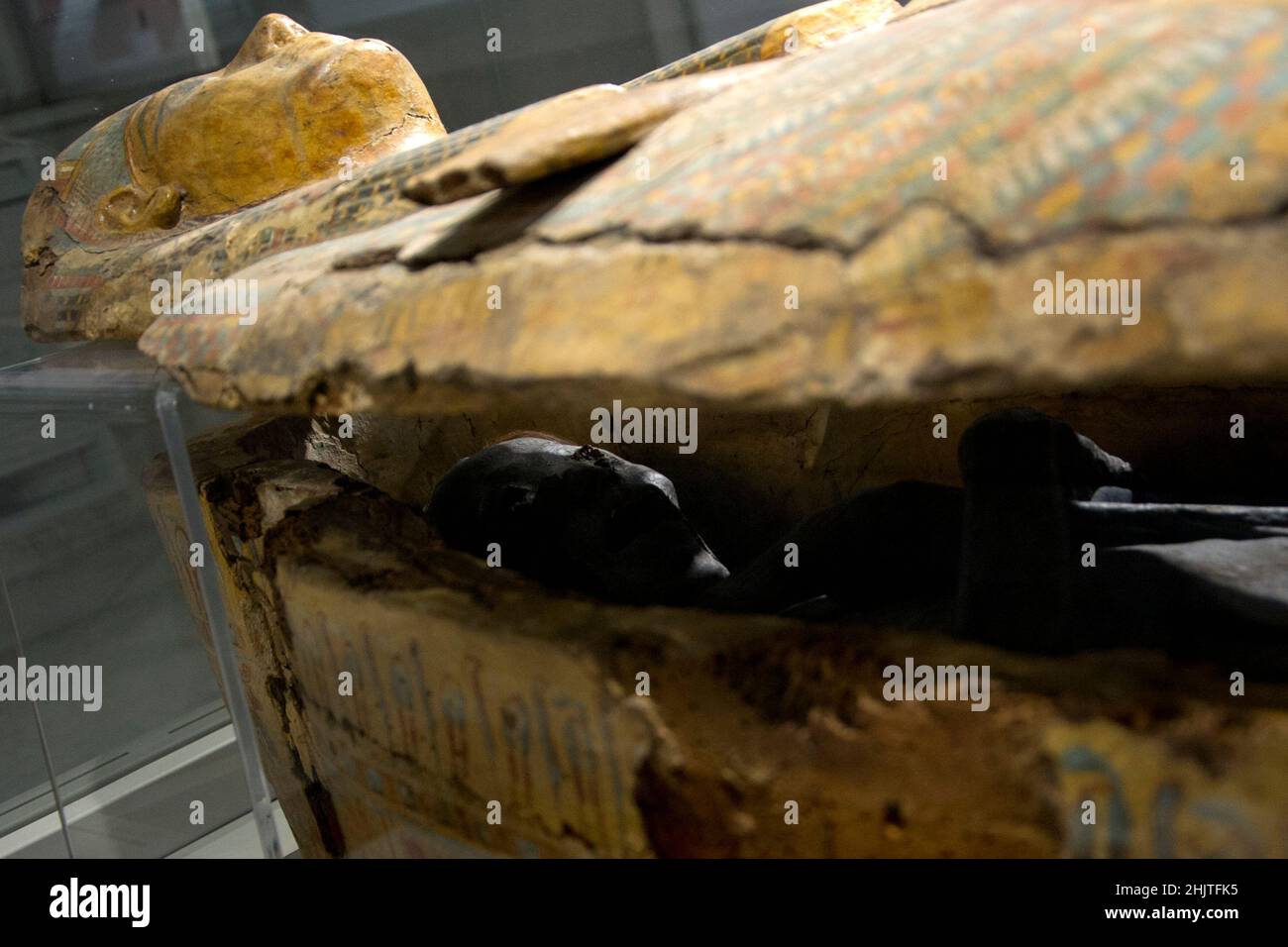 Internal sarcophagus painted "yellow Coffin" with the mummy of a 25 ...