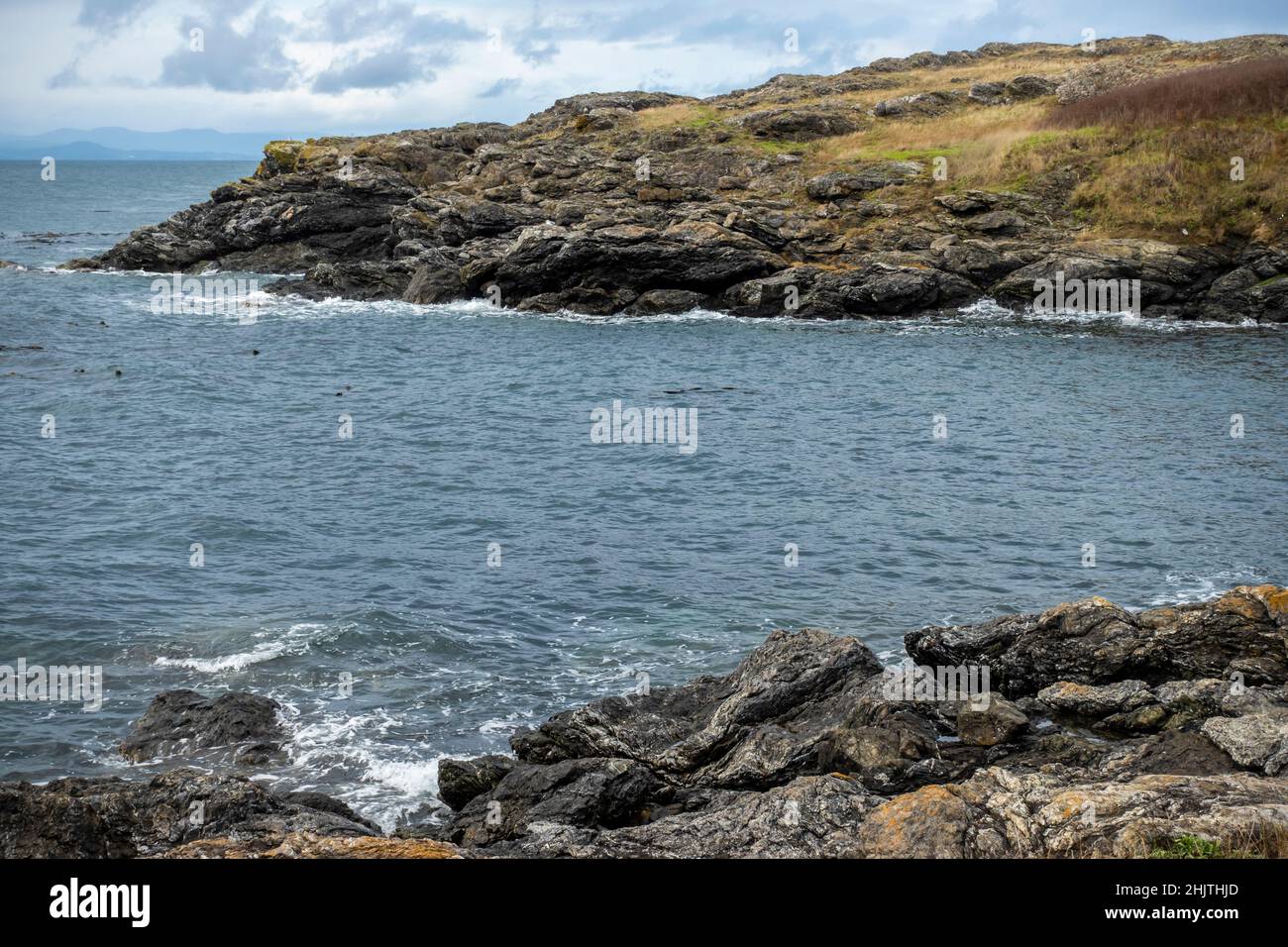 Gorgeous view of the grassy, rocky coastline on San Juan Island on a ...