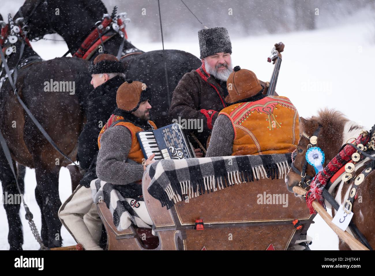 Traditional highlander band seen in a sleigh.Every year, sleigh races ...