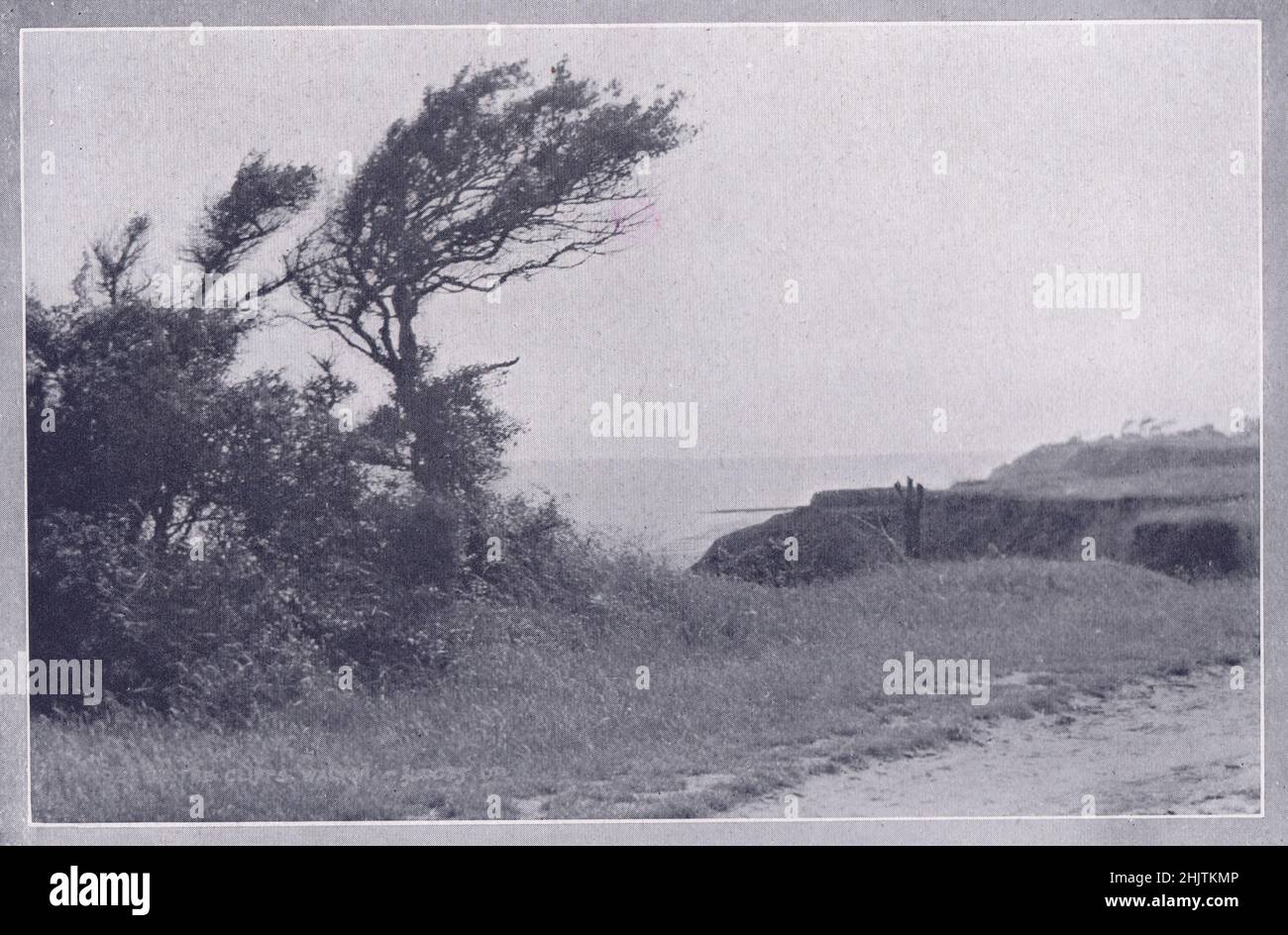 The Cliffs, Walton-on-the-Naze. Essex (1913 Stock Photo - Alamy