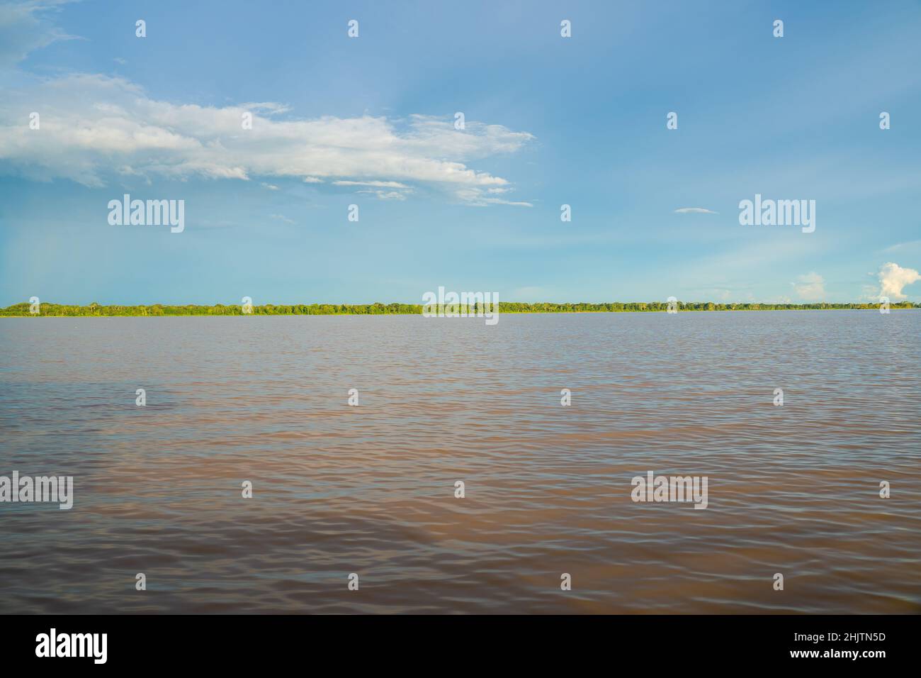 The amazon river and the amazonian forest. At the community of Gamboa ...