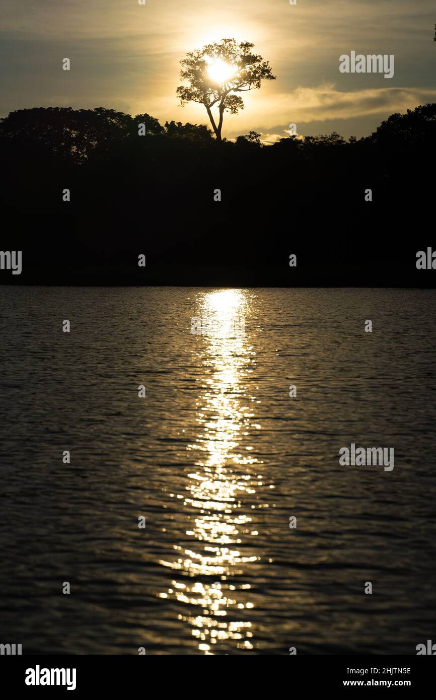 Sunset over the amazon river. At the community of Gamboa next to the ...